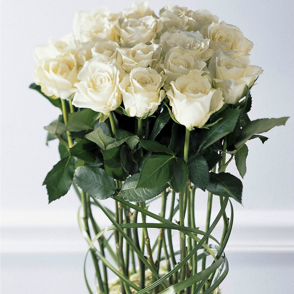 Sky Roses - Good Old Days Florist - The Eco Florist