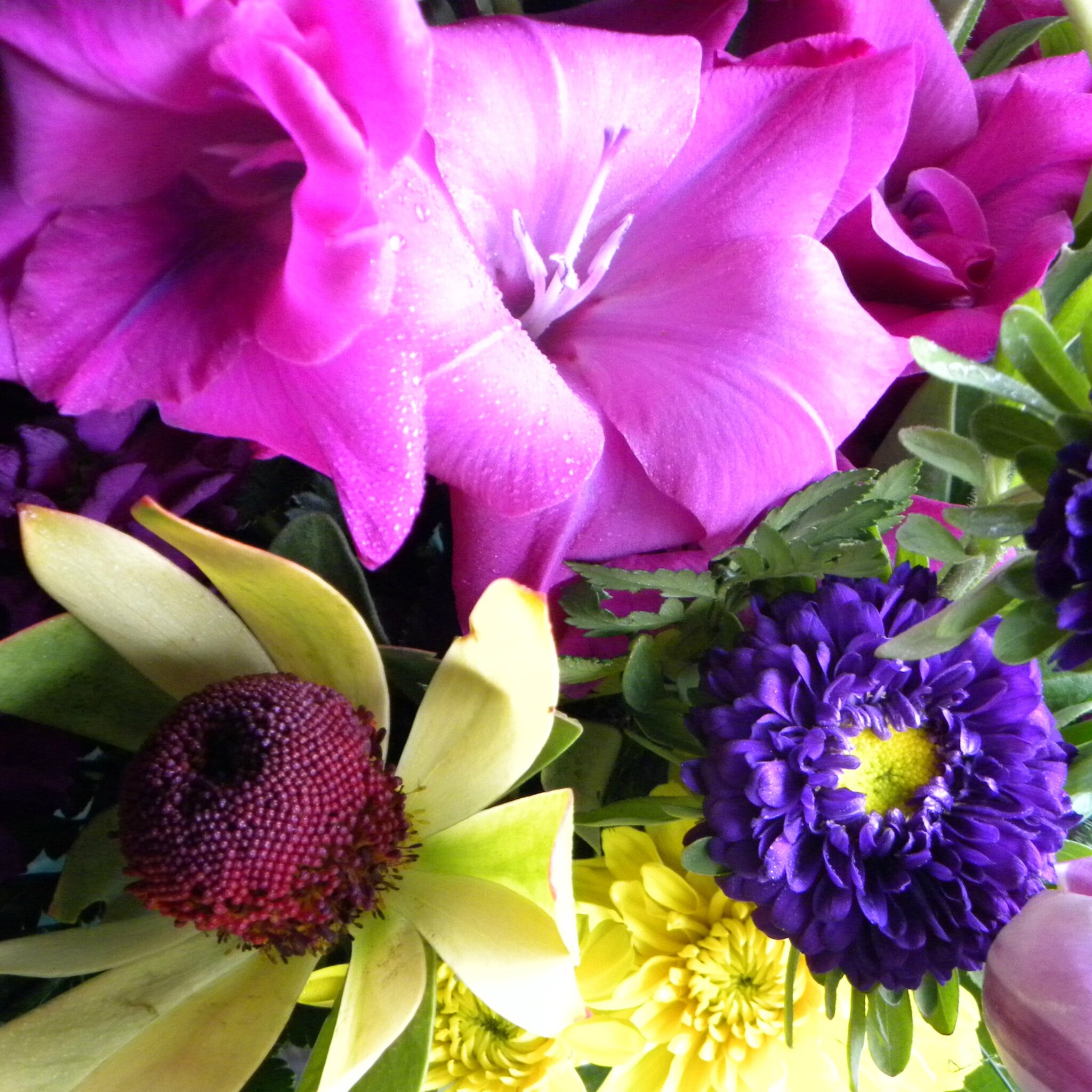 Good Old Days Florist – The Eco Florist – The Alternative Florist ...