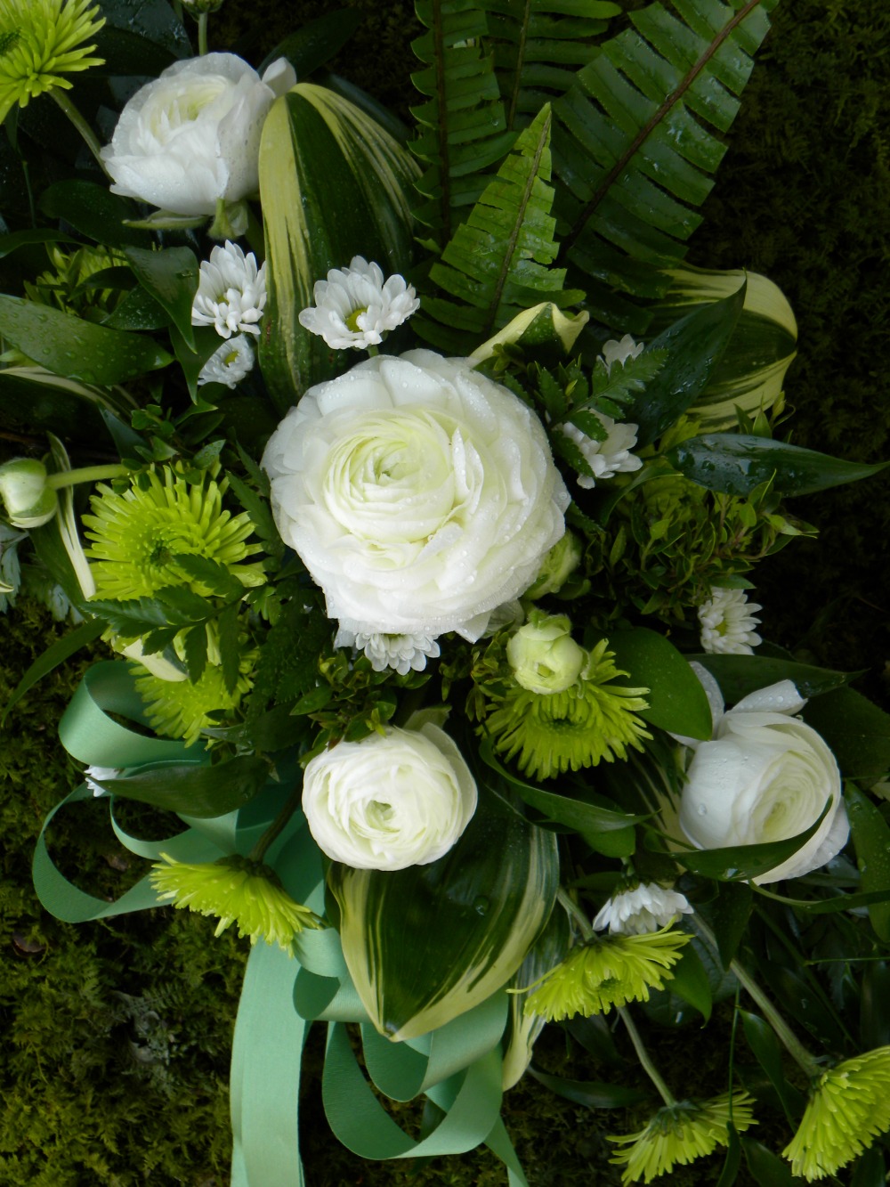 Shamrock - Good Old Days Florist - The Eco Florist